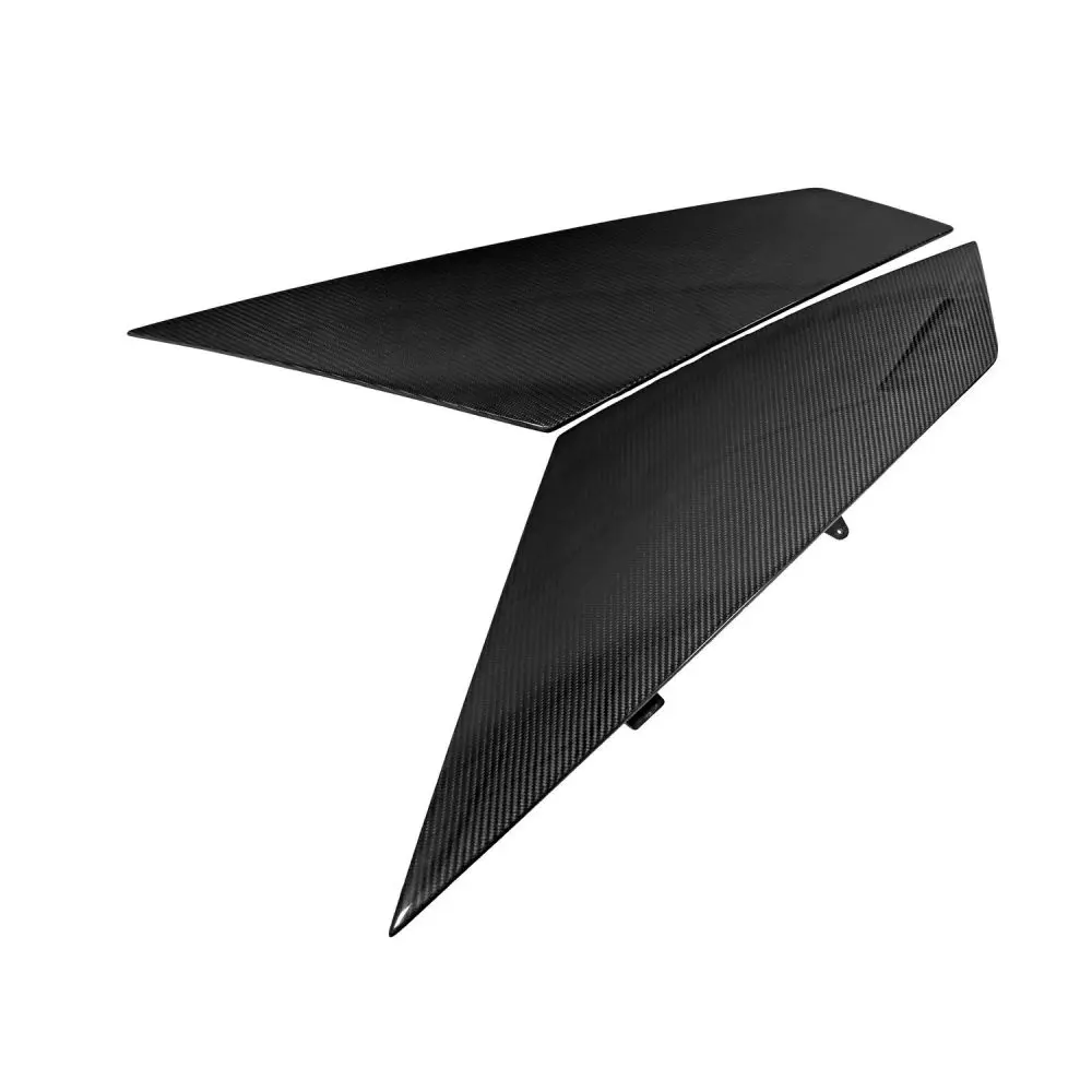 Exotic Car Gear Carbon SV-Style Large Engine Air Intake Panels for ...